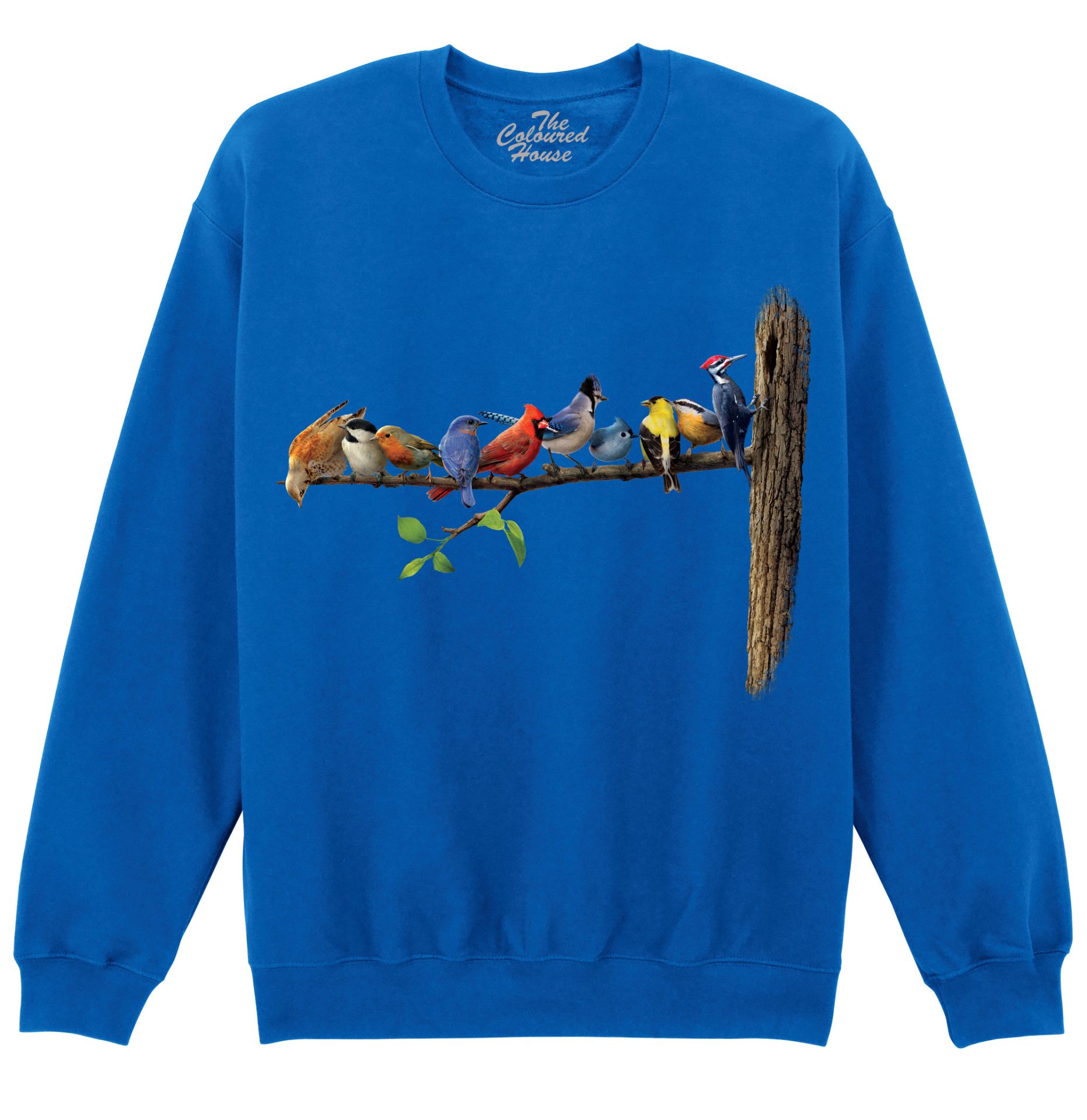 The Coloured House Sweater Birds, Vincent Hie